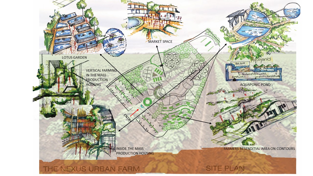 THE NEXUS URBAN FARM | Infrastructure Design Project