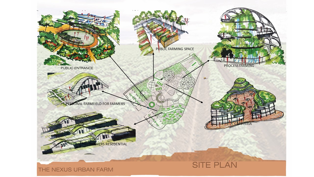 THE NEXUS URBAN FARM | Infrastructure Design Project