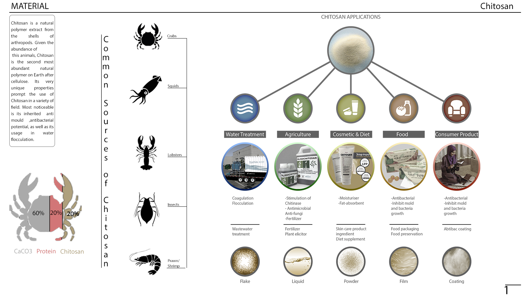 RESPONSIVE SHELL | Interior Design Project